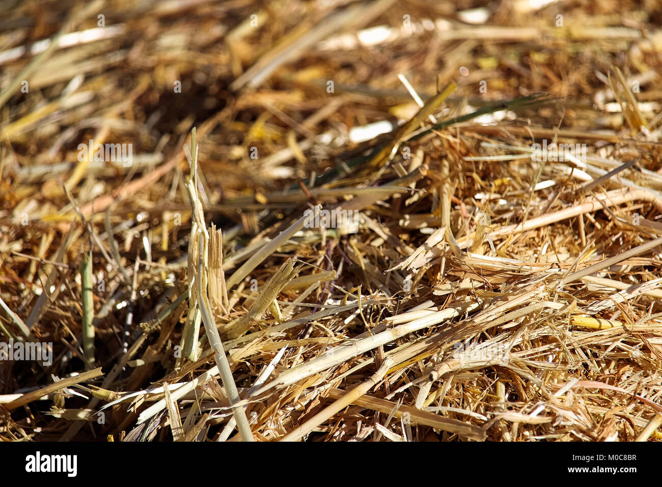 Macro straw hi-res stock photography and images - Alamy