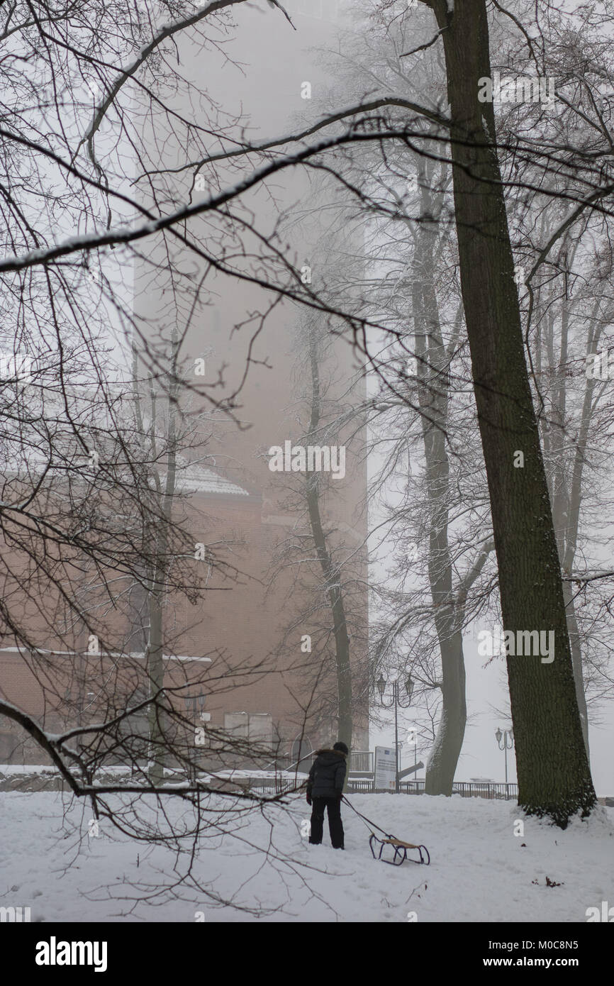 Park in winter time. Path in the snowy park. Trees covered with snow in ...