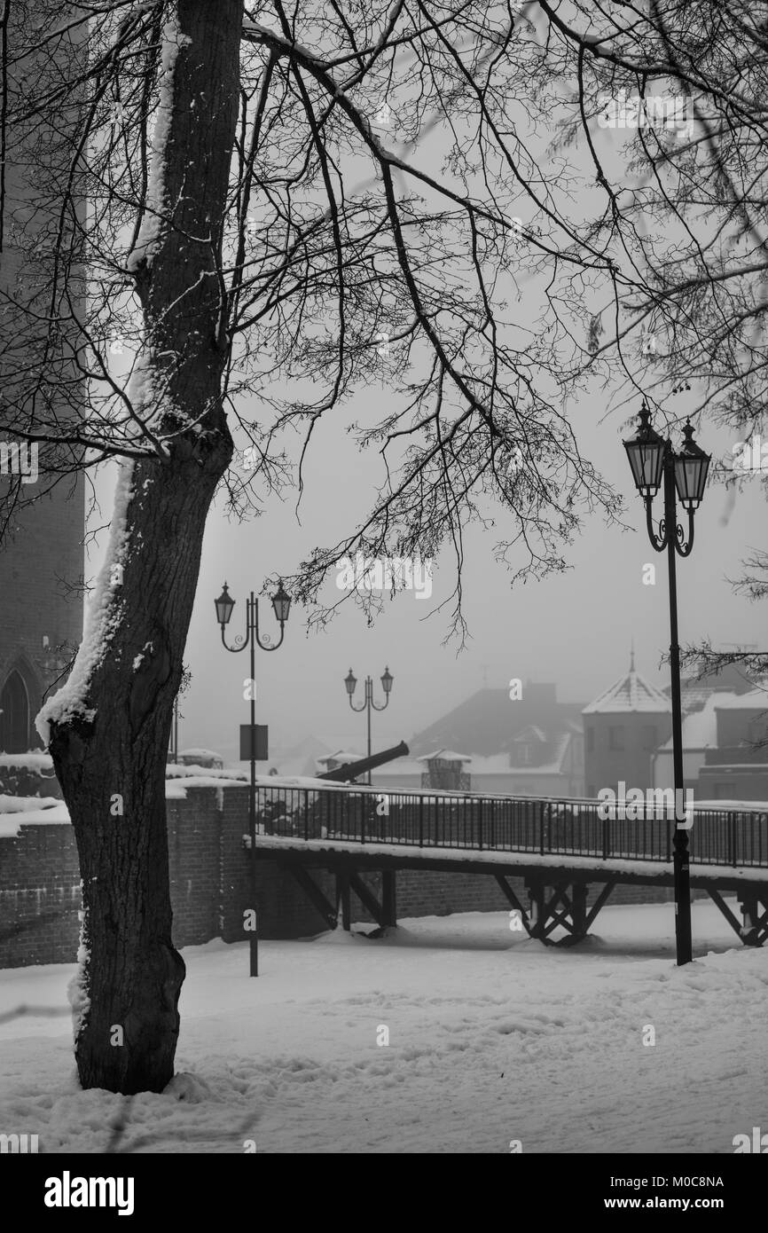 Park in winter time. Path in the snowy park. Trees covered with snow in ...