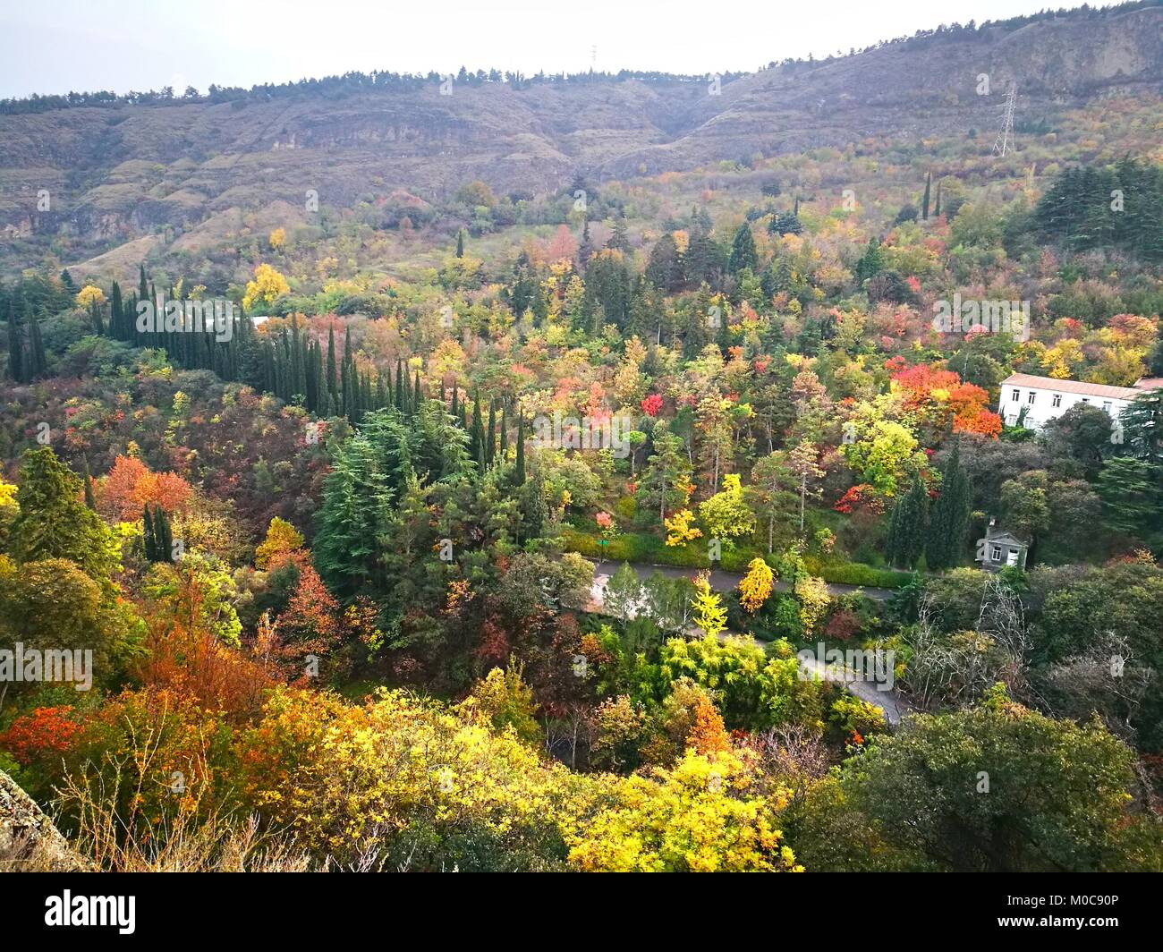 The autumn in Tbilisi city at Georgia Stock Photo - Alamy