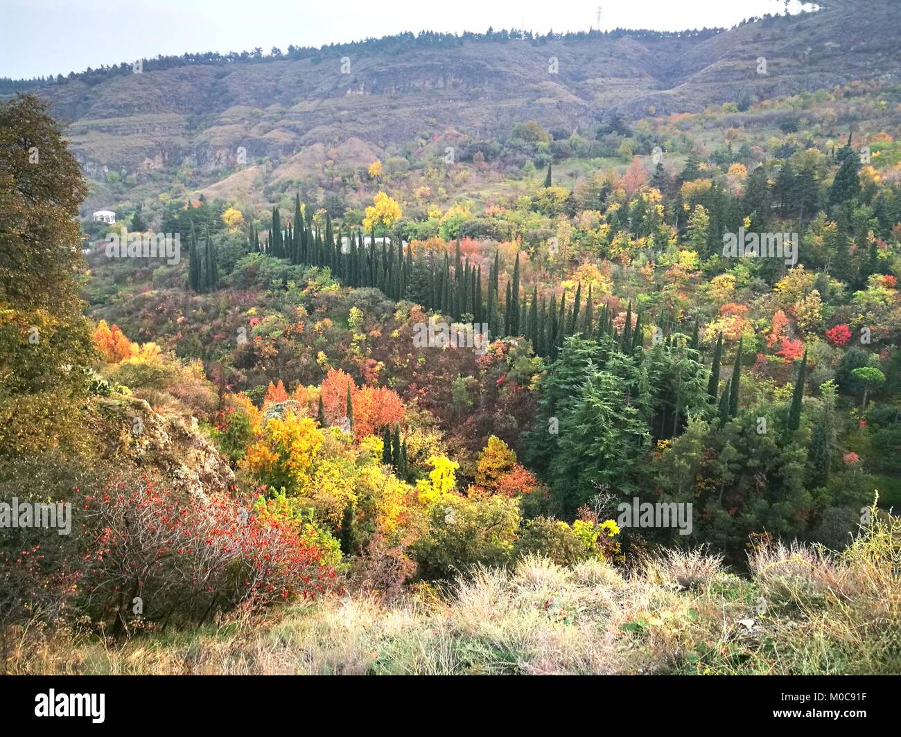 The autumn in Tbilisi city at Georgia Stock Photo - Alamy
