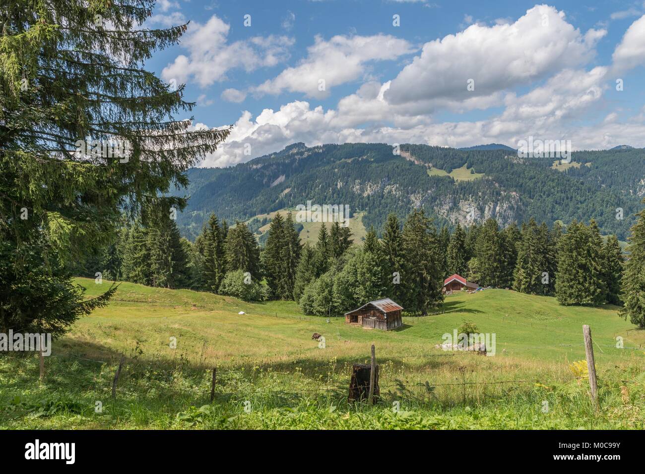 Landscape of the Bavarian region Algae, Germany Stock Photo - Alamy