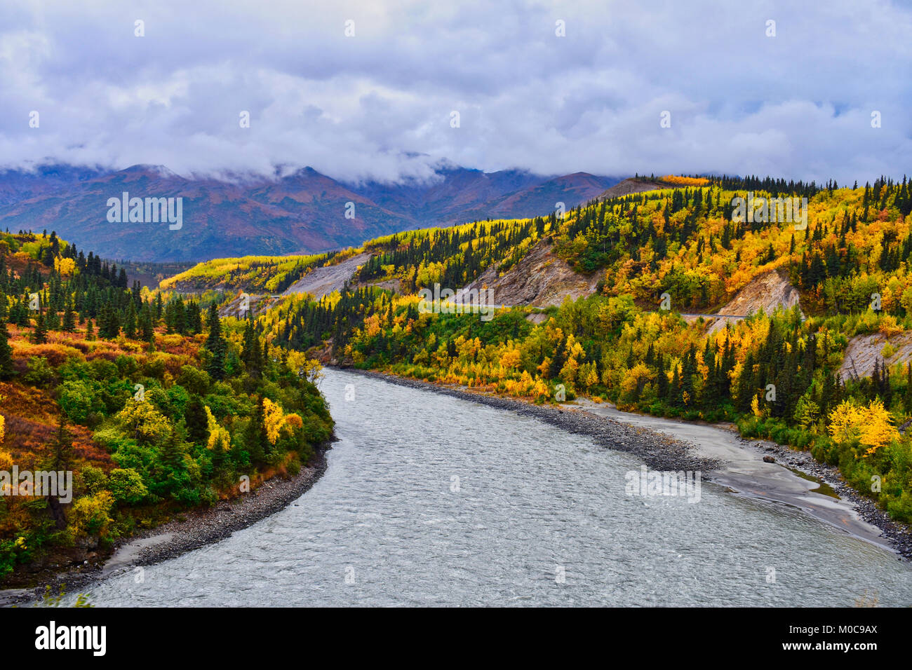 Fall colors from the Alaska Railroad Stock Photo - Alamy