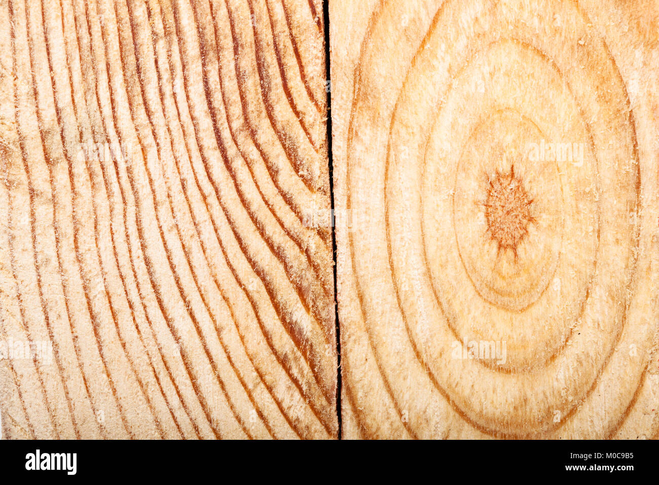 Plank wood cut in hi-res stock photography and images - Alamy