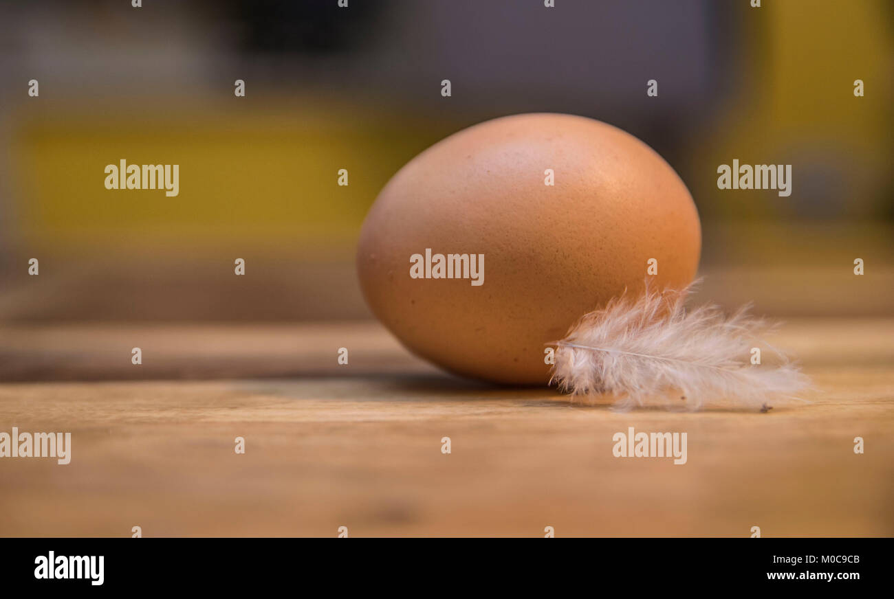 Panoramic photo of single egg Stock Photo - Alamy