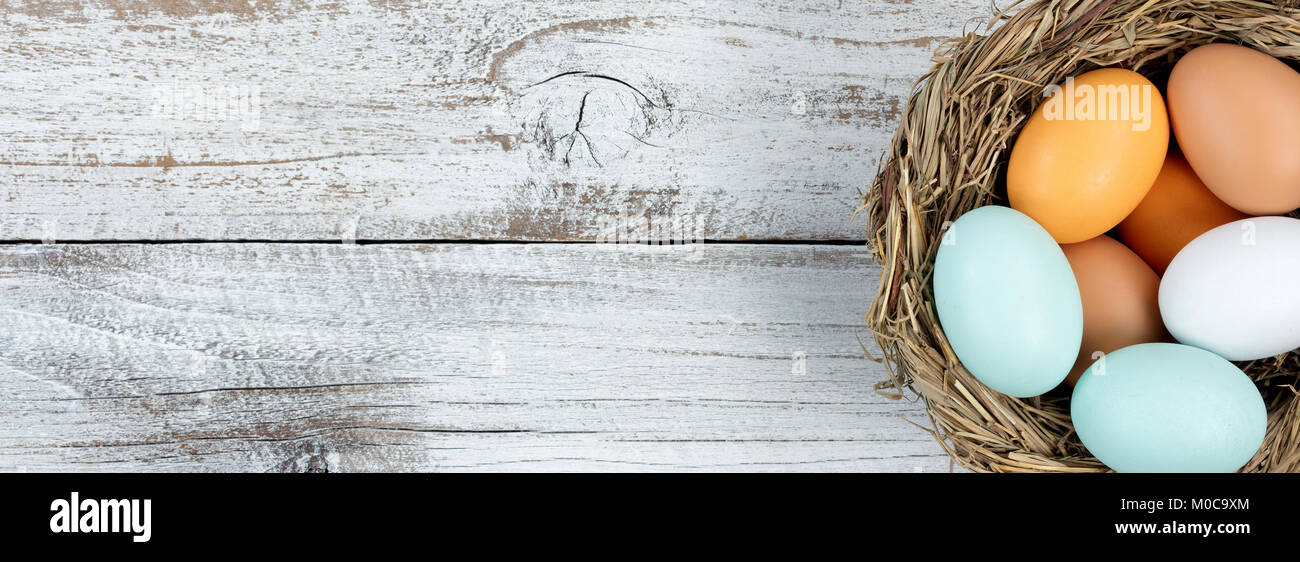 Natural bird nest filled with real colorful eggs forming right border ...