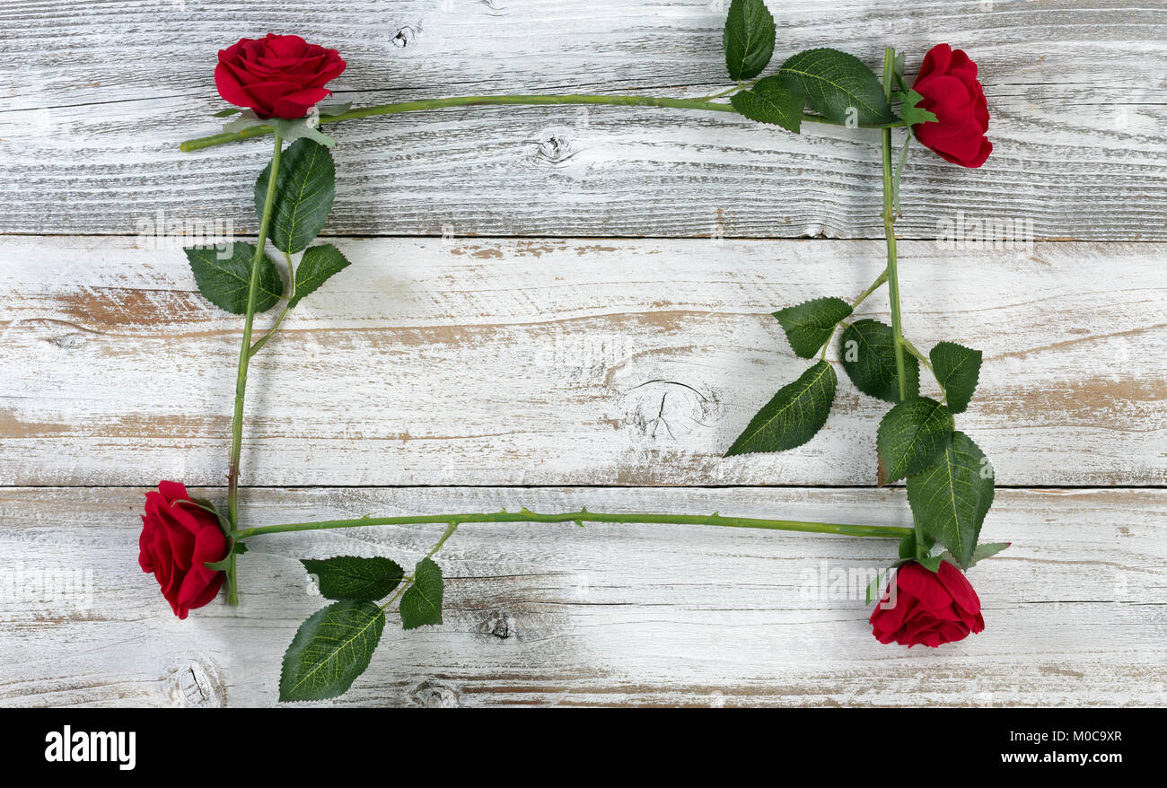 Red roses forming square on rustic white wood for Spring Holiday ...