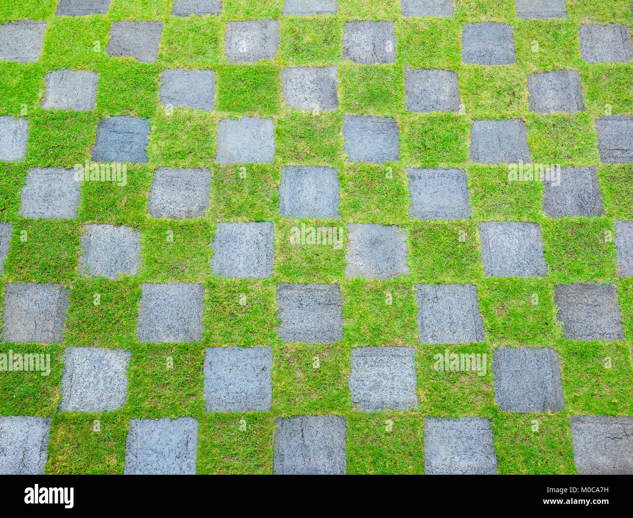Green check pattern hi-res stock photography and images - Alamy