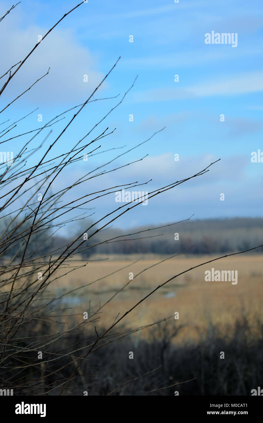 landscape view vertical spring time Stock Photo - Alamy