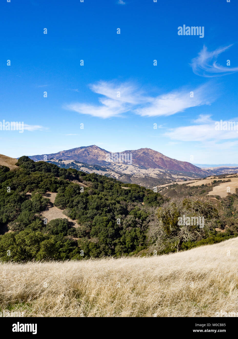 Hike in Morgan Territory Regional Preserve, Walnut Creek, Contra Costa ...
