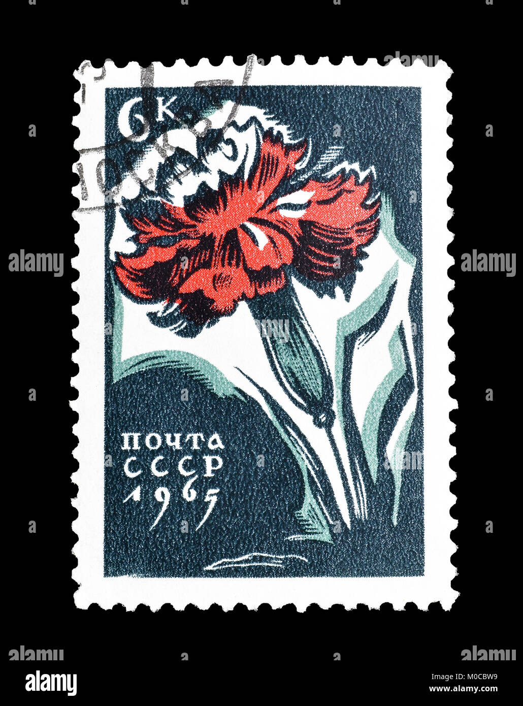 Cancelled postage stamp printed by Soviet Union, that shows Carnation ...