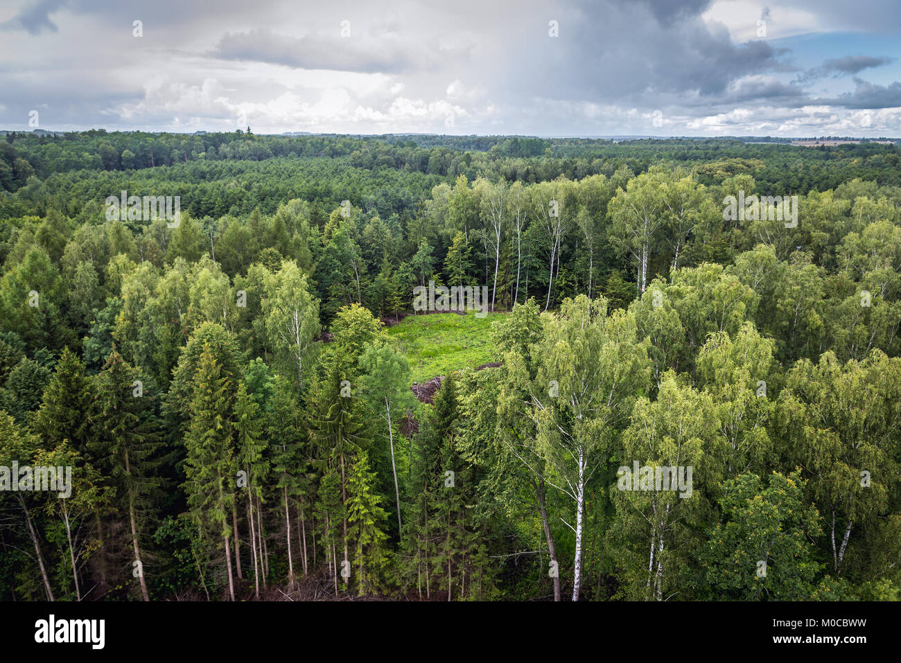 Aerial view from lookout tower in Mamerki (German: Mauerwald) bunker ...