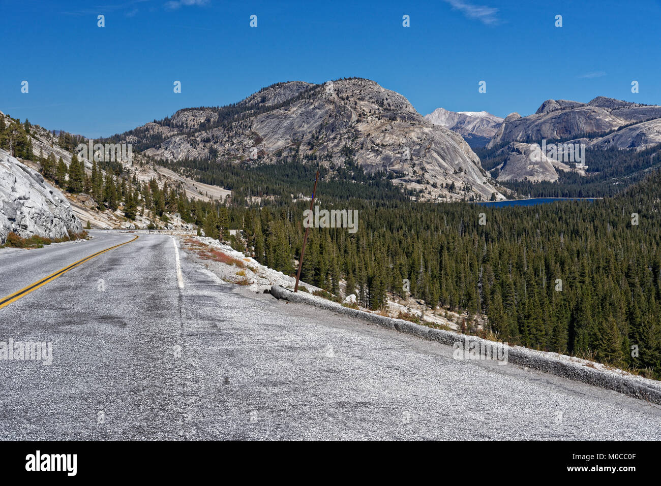 Tioga Road near Tenaya Lake in Yosemite National Park Stock Photo - Alamy