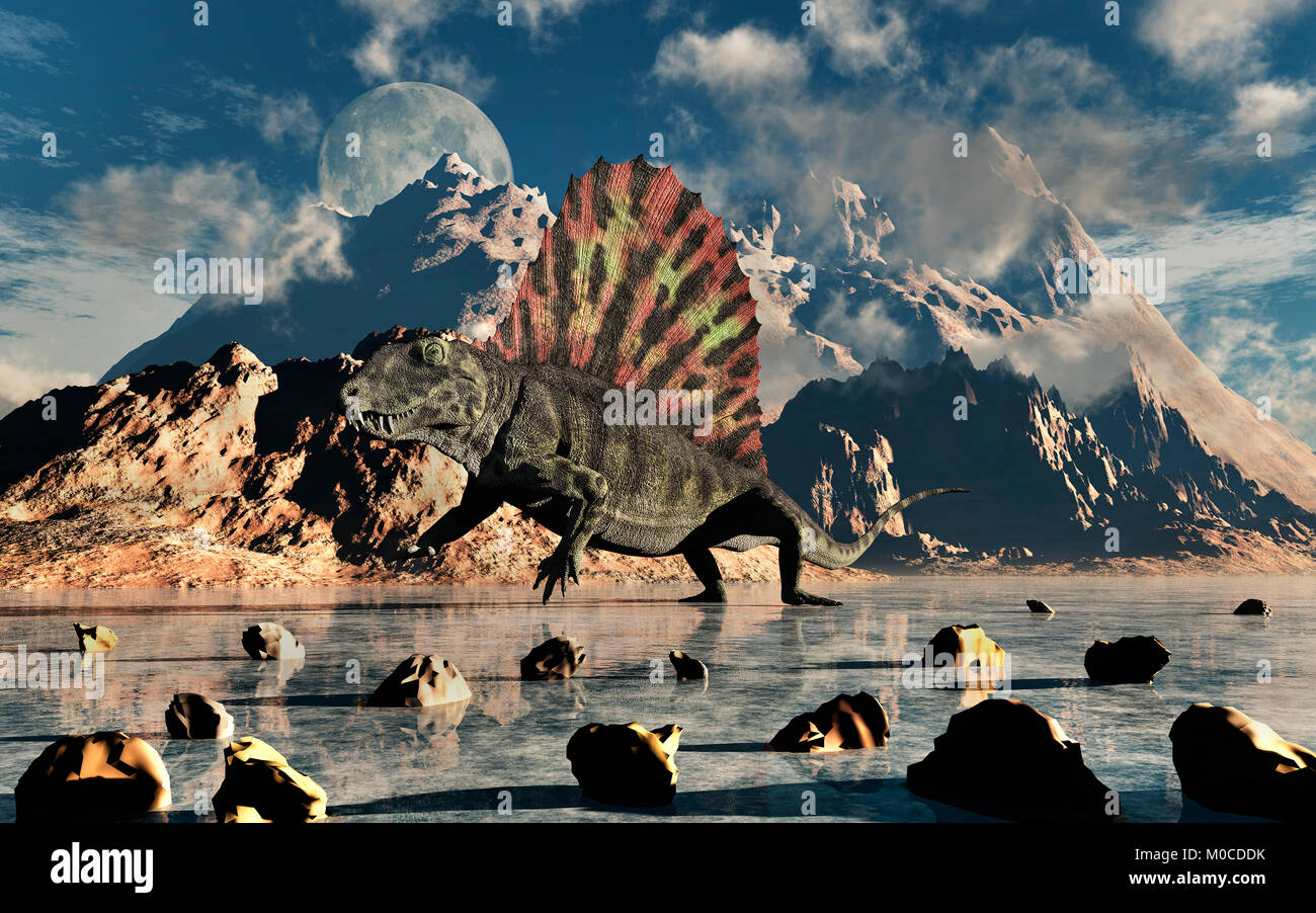 Dimetrodon teeth hi-res stock photography and images - Alamy