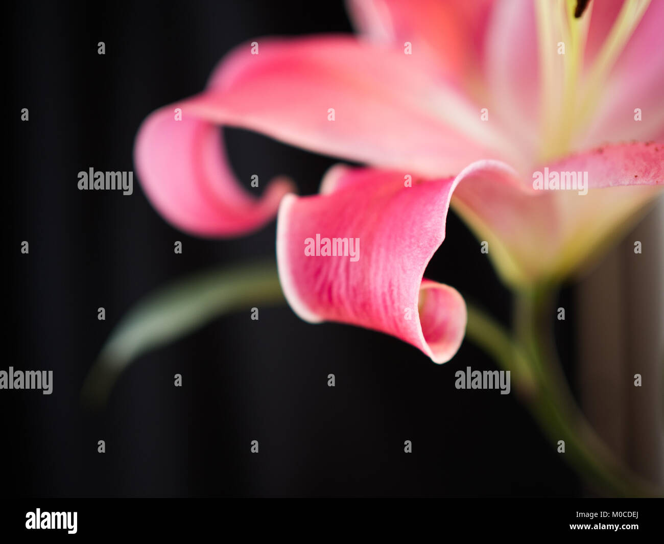 Printable art hi-res stock photography and images - Alamy