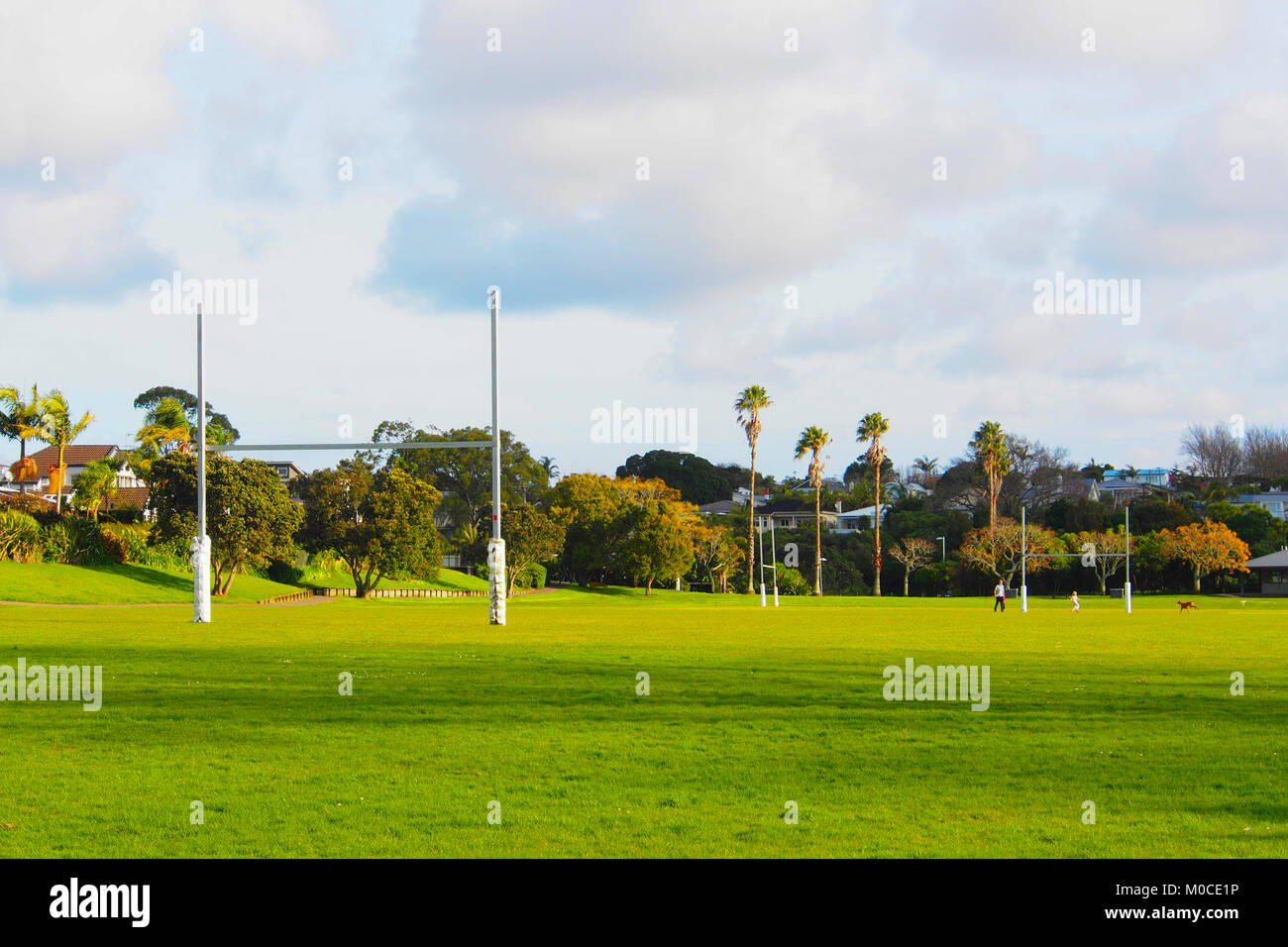 Ponsonby auckland hi-res stock photography and images - Alamy