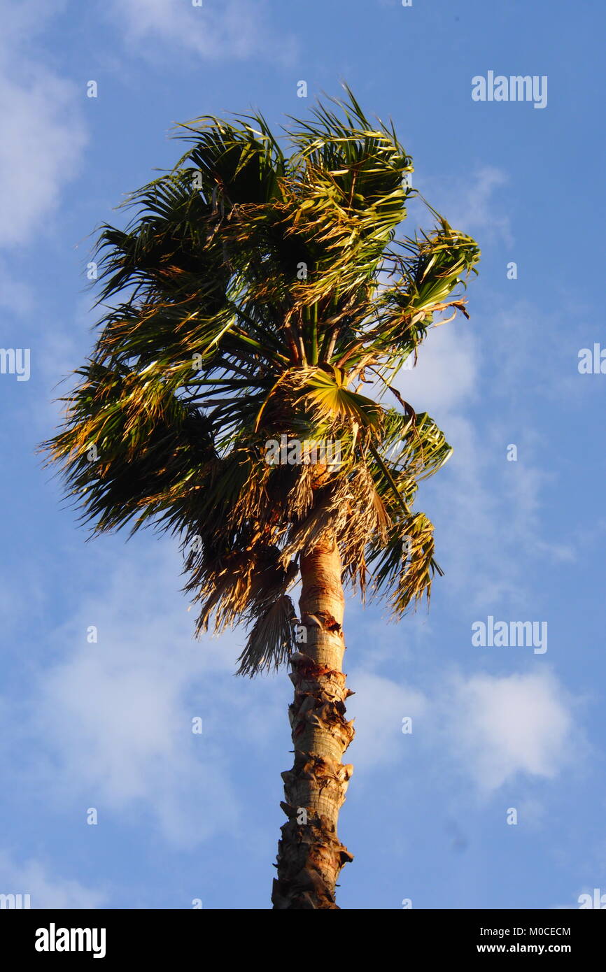 Nz landscape background hi-res stock photography and images - Alamy