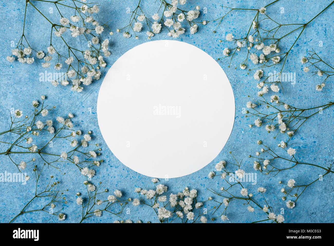 Blue spring floral background. Round frame from flowers hypsophyll ...