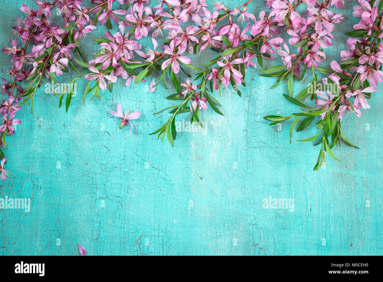 Turquoise Background Floral Tumblr