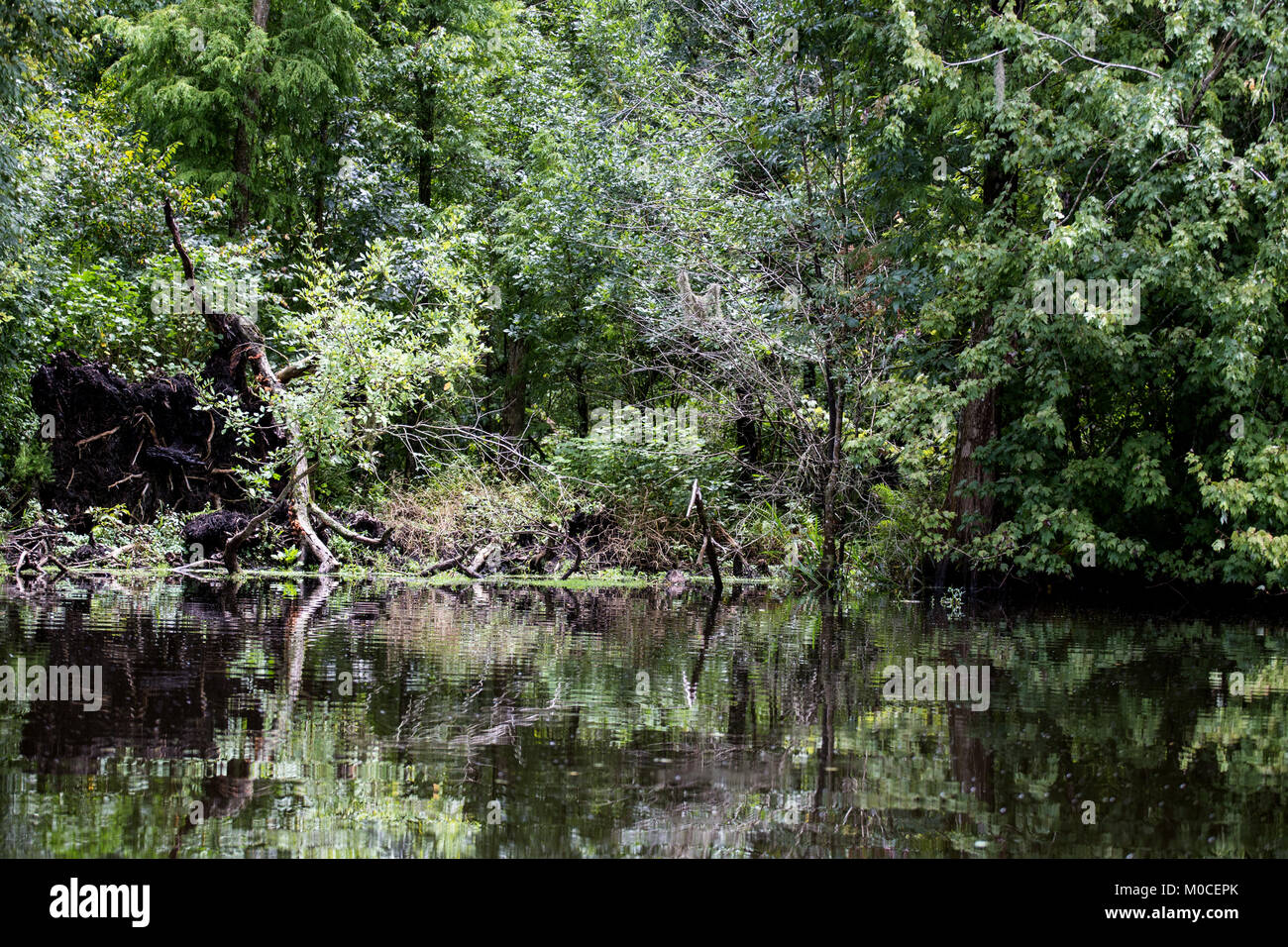 Quiet river scene hi-res stock photography and images - Alamy