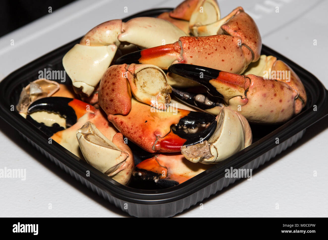 Florida stone crab hi-res stock photography and images - Alamy
