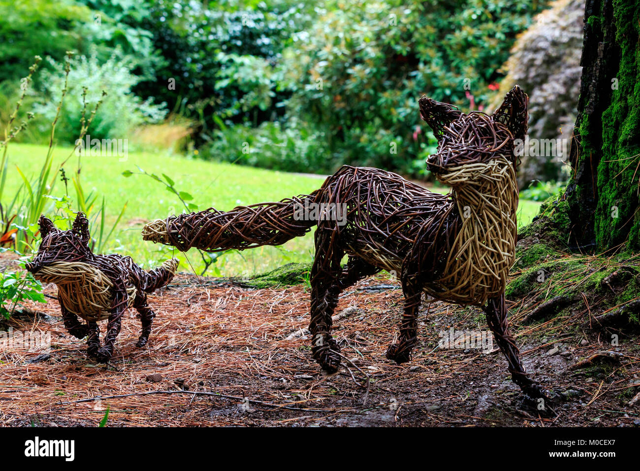 Willow weaving hi-res stock photography and images - Alamy