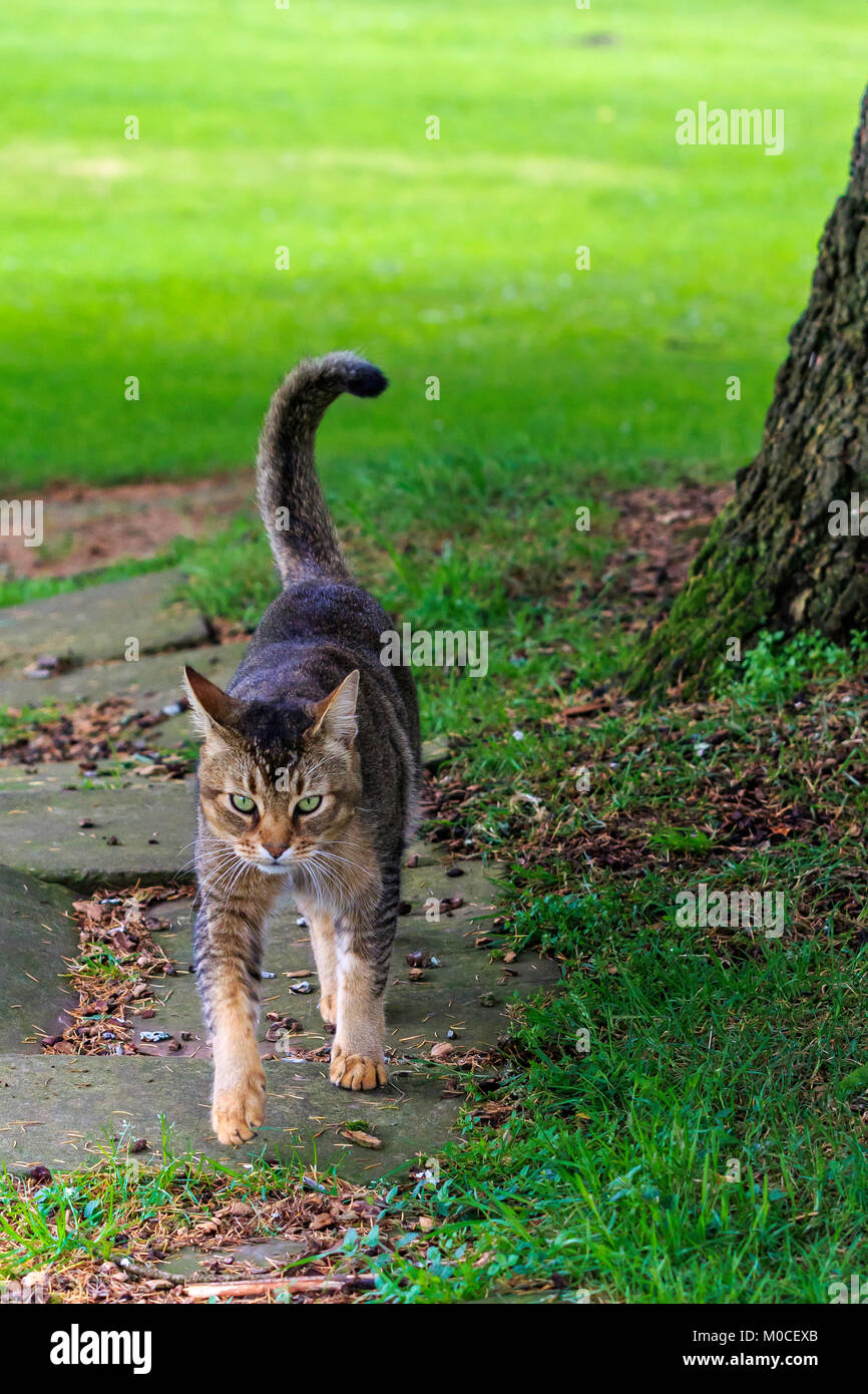 Proud trust hi-res stock photography and images - Alamy