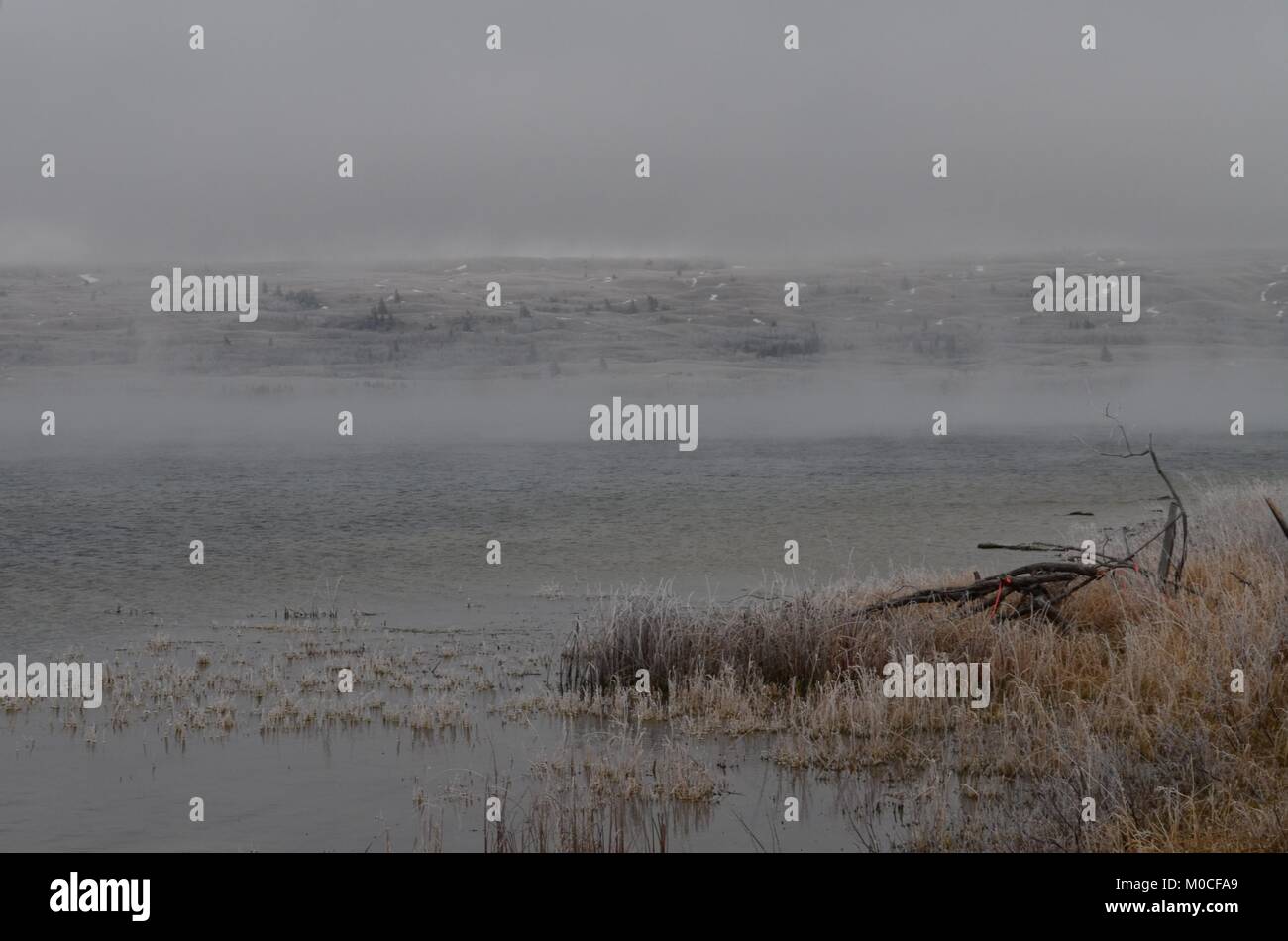 A cold foggy autumn day down at the lake shore, with freezing mist ...