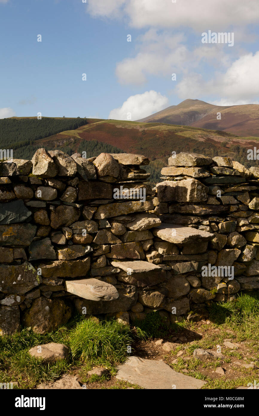 Drystone wall step stile Stock Photo - Alamy