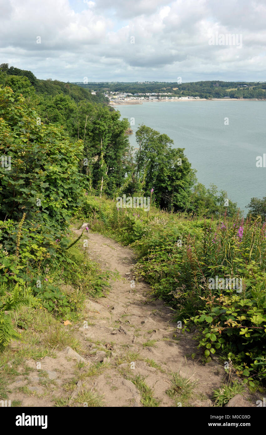 Pembrokeshire coastal path saundersfoot hi-res stock photography and ...