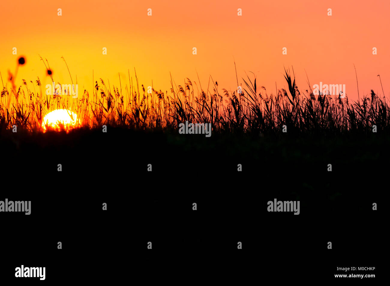 Romania, danube delta hi-res stock photography and images - Alamy
