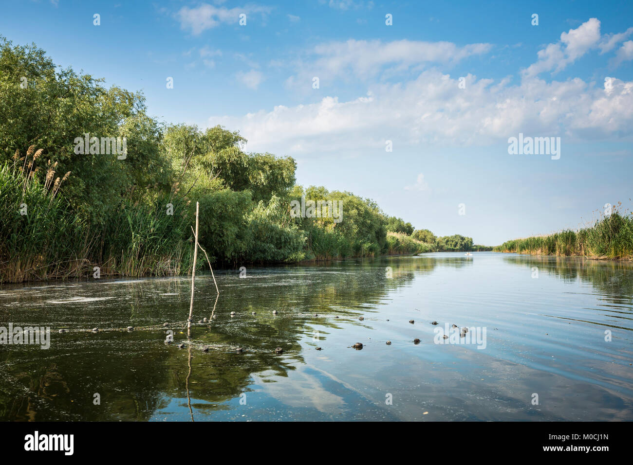 Donau delta hi-res stock photography and images - Alamy