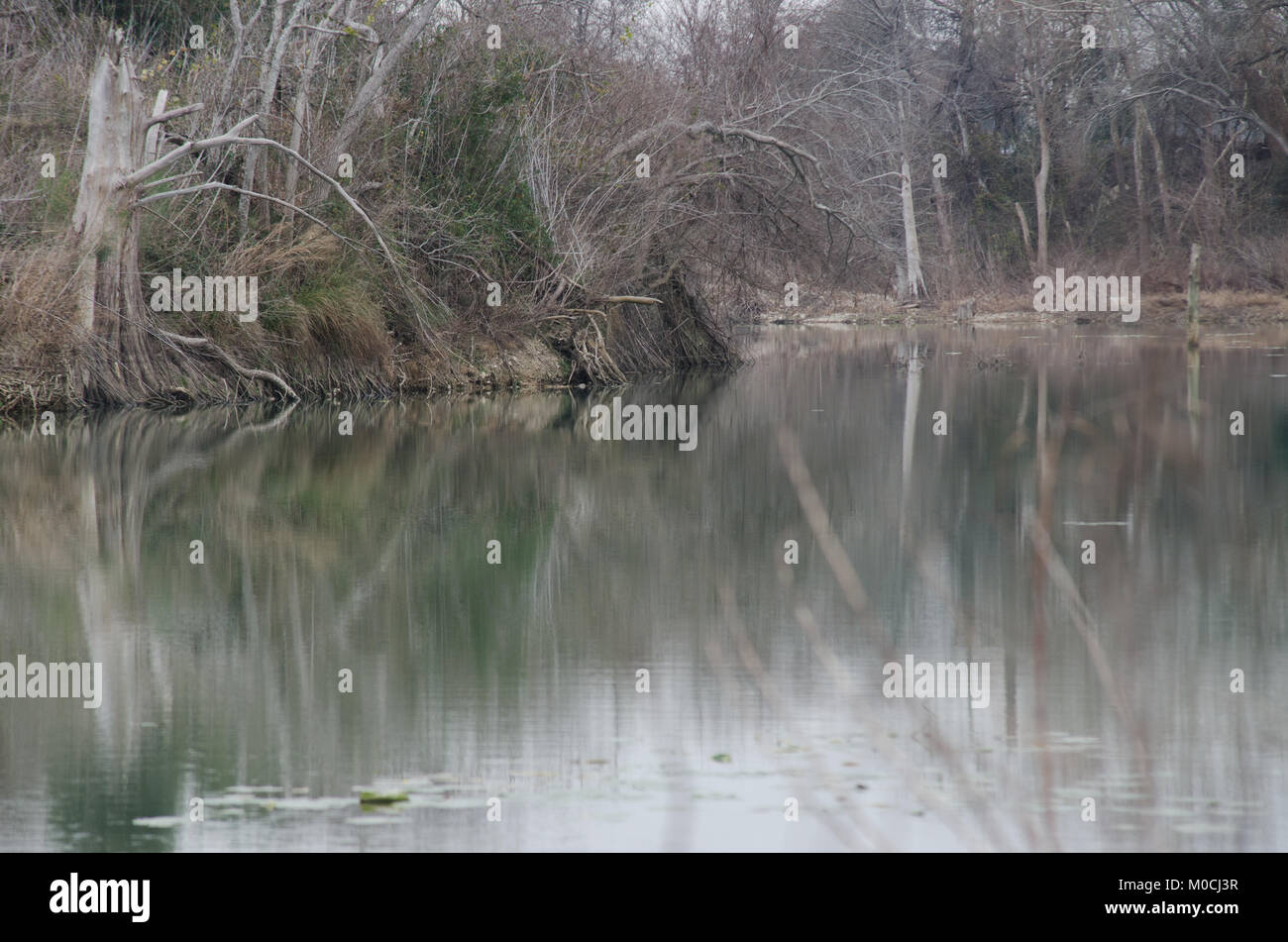 Trees reflecting across a river Stock Photo - Alamy