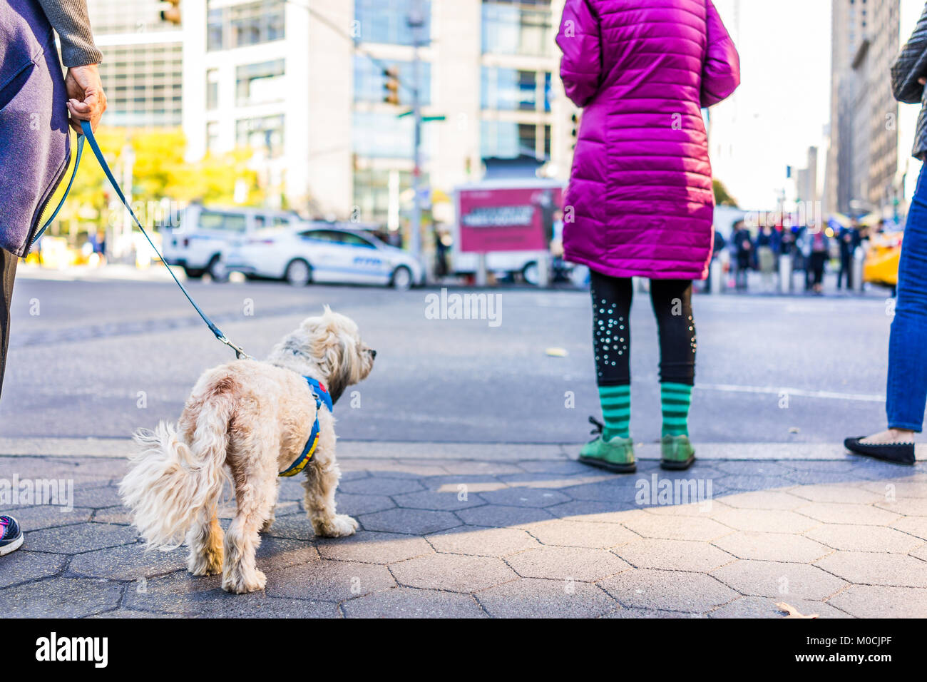 Midtown Manhattan NYC New York City with ground level closeup of ...