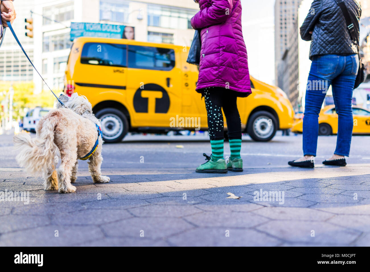 New York City, USA - October 28, 2017: Midtown Manhattan NYC New York ...