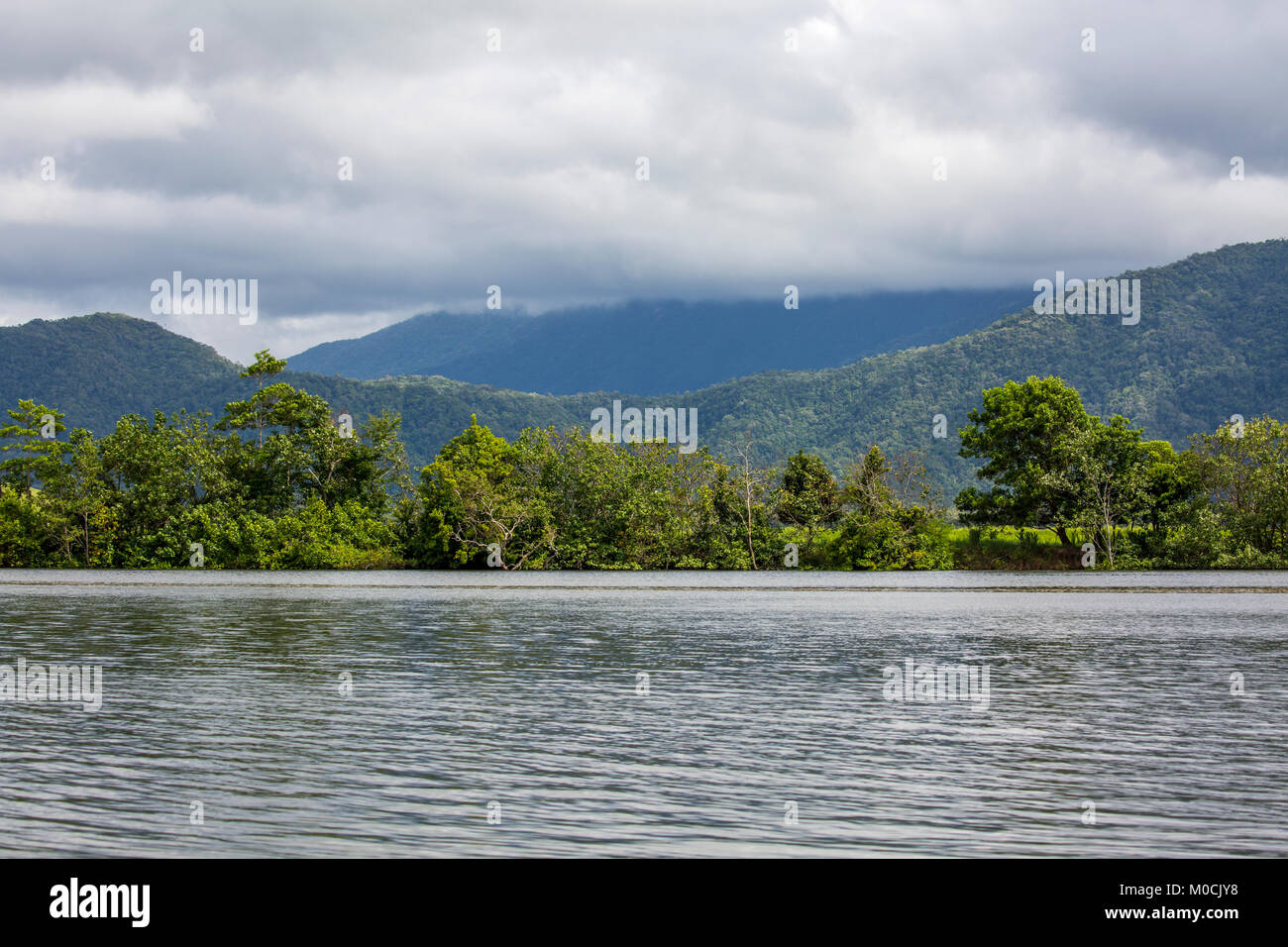 Daintree national park hi-res stock photography and images - Alamy