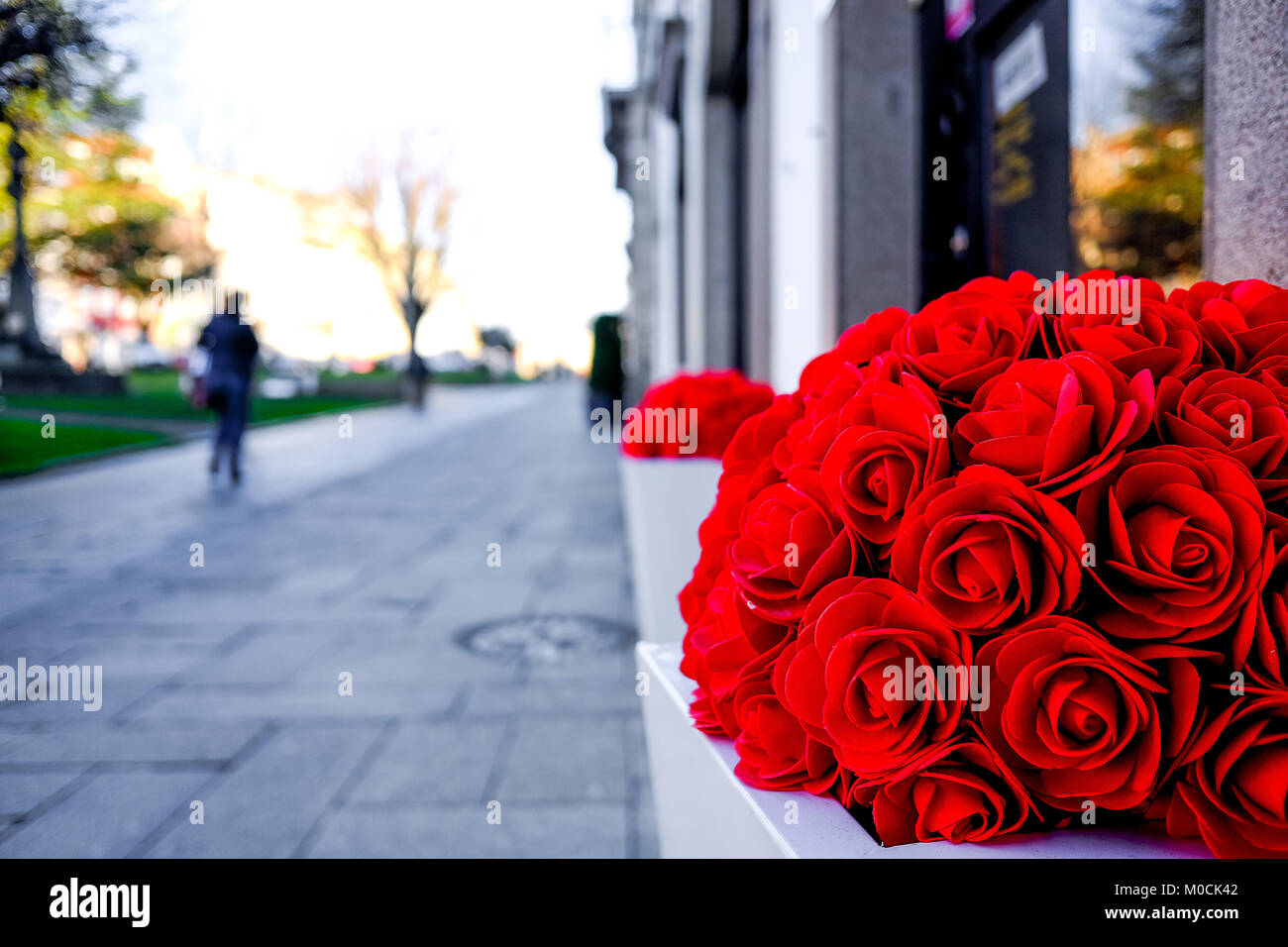 color, colorful, objects, houses, the contrasts of a beautiful, but ...