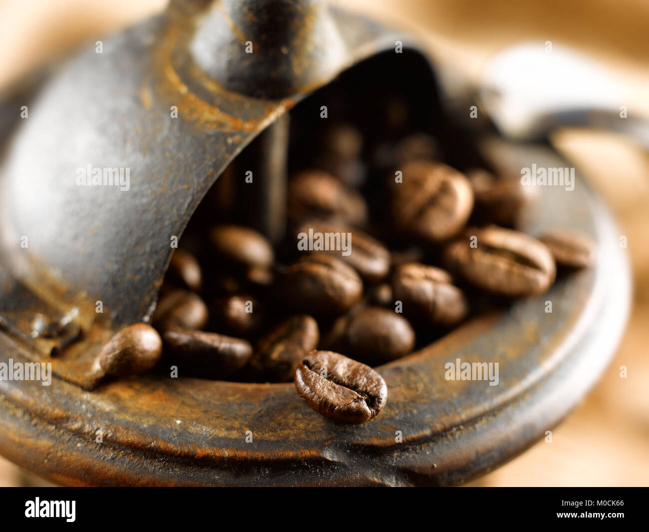 beautiful coffee beans Stock Photo - Alamy