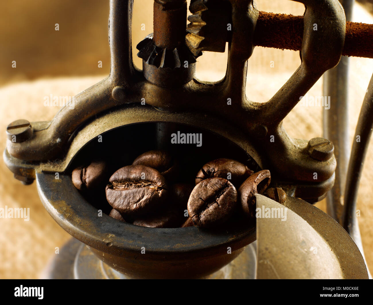 Beautiful coffee beans hi-res stock photography and images - Alamy