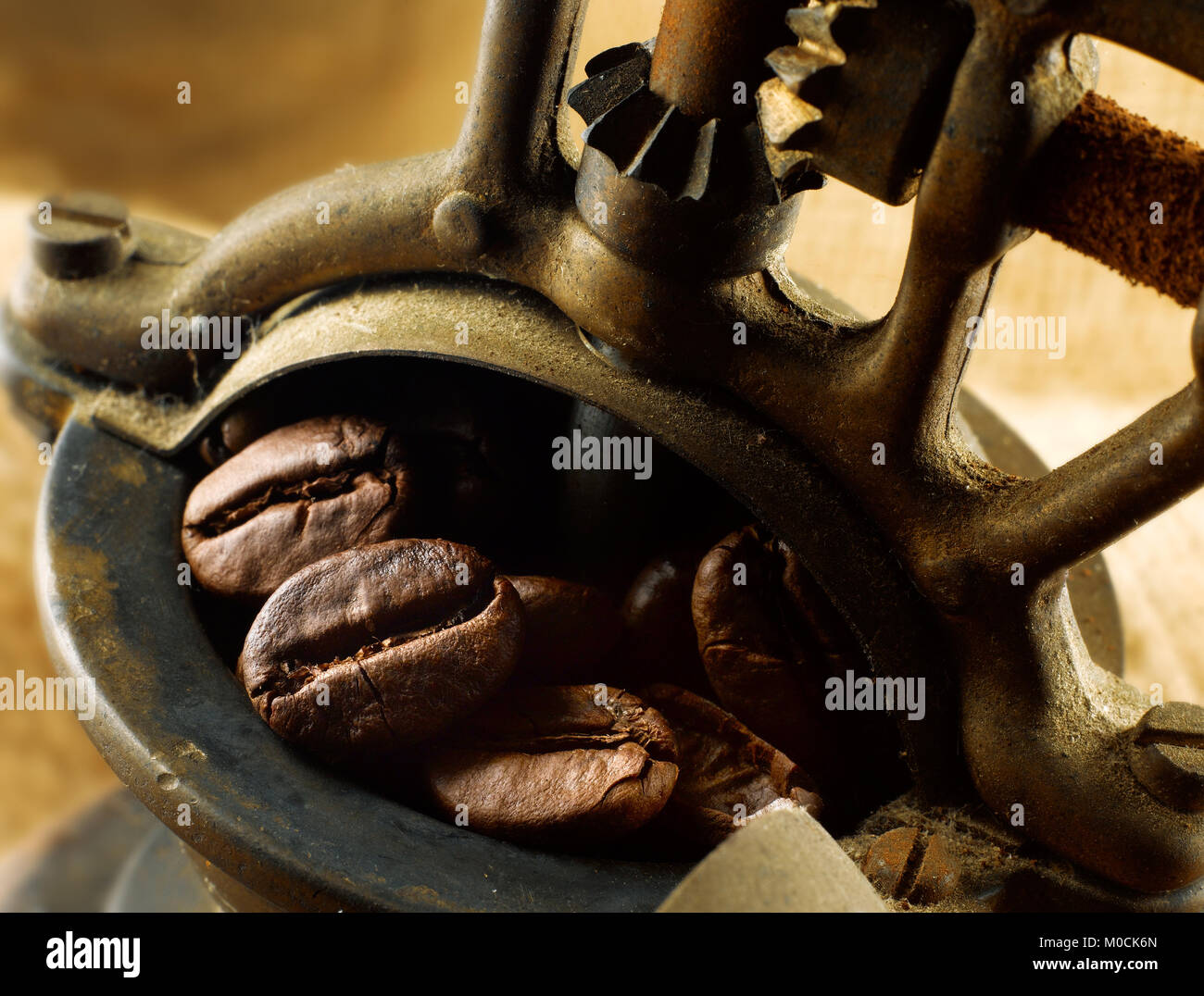 beautiful coffee beans Stock Photo - Alamy