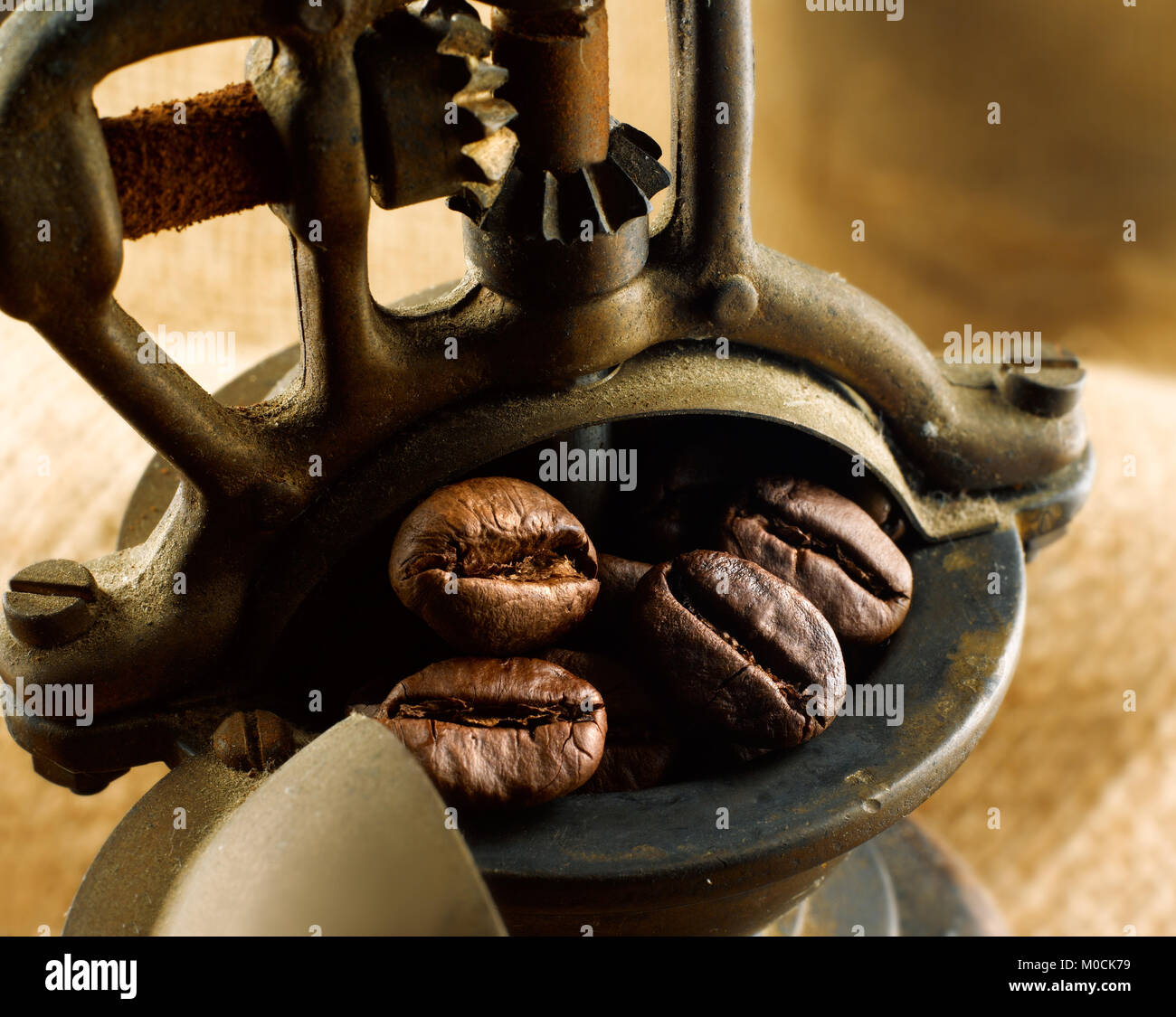 beautiful coffee beans Stock Photo - Alamy