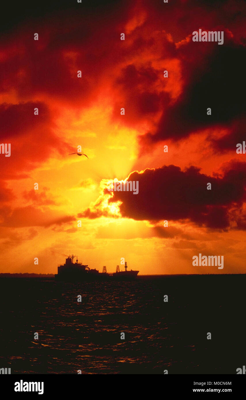 A log ship arriving at Astoria,Oregon to pick up export logs Stock ...