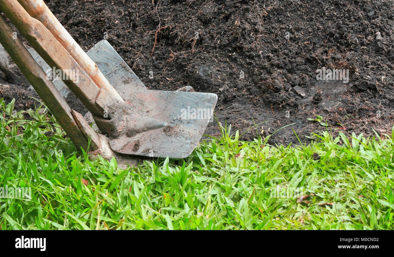 spade tools in the garden on nature background Stock Photo - Alamy