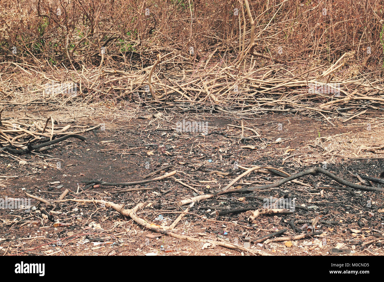 Firestorm and forest fire hi-res stock photography and images - Alamy