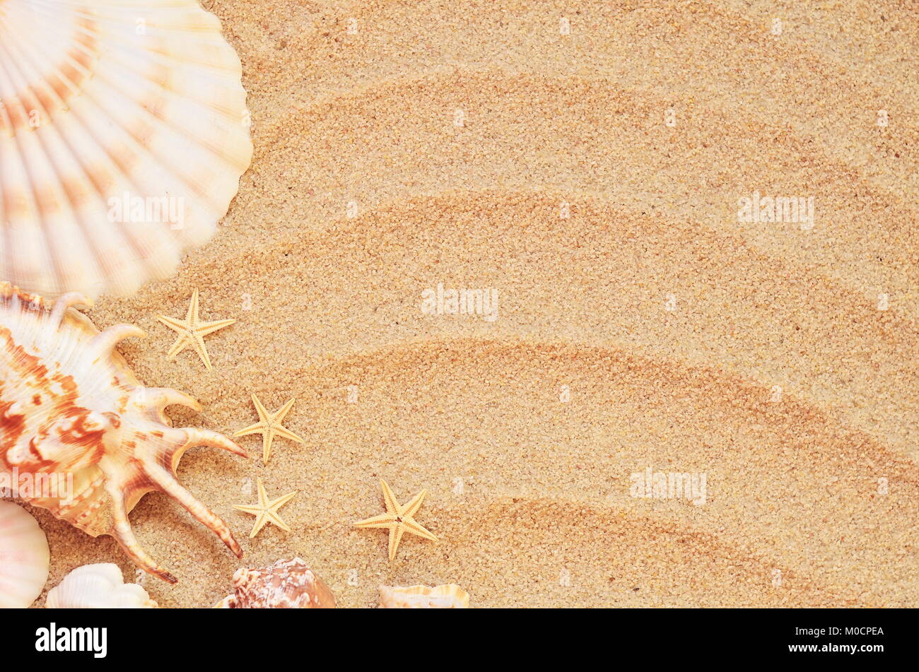 sea shells with sand as background. Summer concept Stock Photo - Alamy