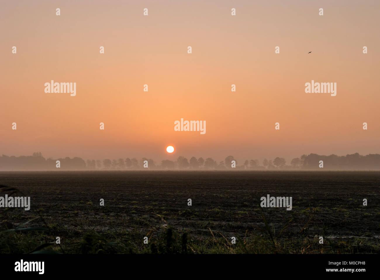 Sunrise over the farm land Stock Photo - Alamy