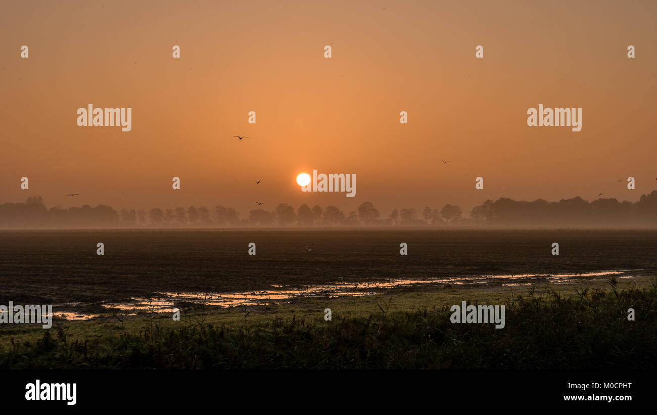 Sunrise over the farm land Stock Photo - Alamy