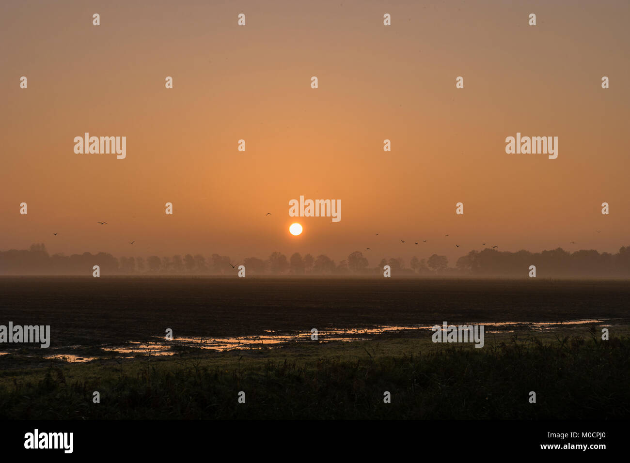 Sunrise over the farm land Stock Photo - Alamy