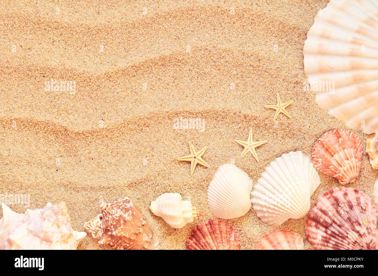 sea shells with sand as background. Summer concept Stock Photo - Alamy