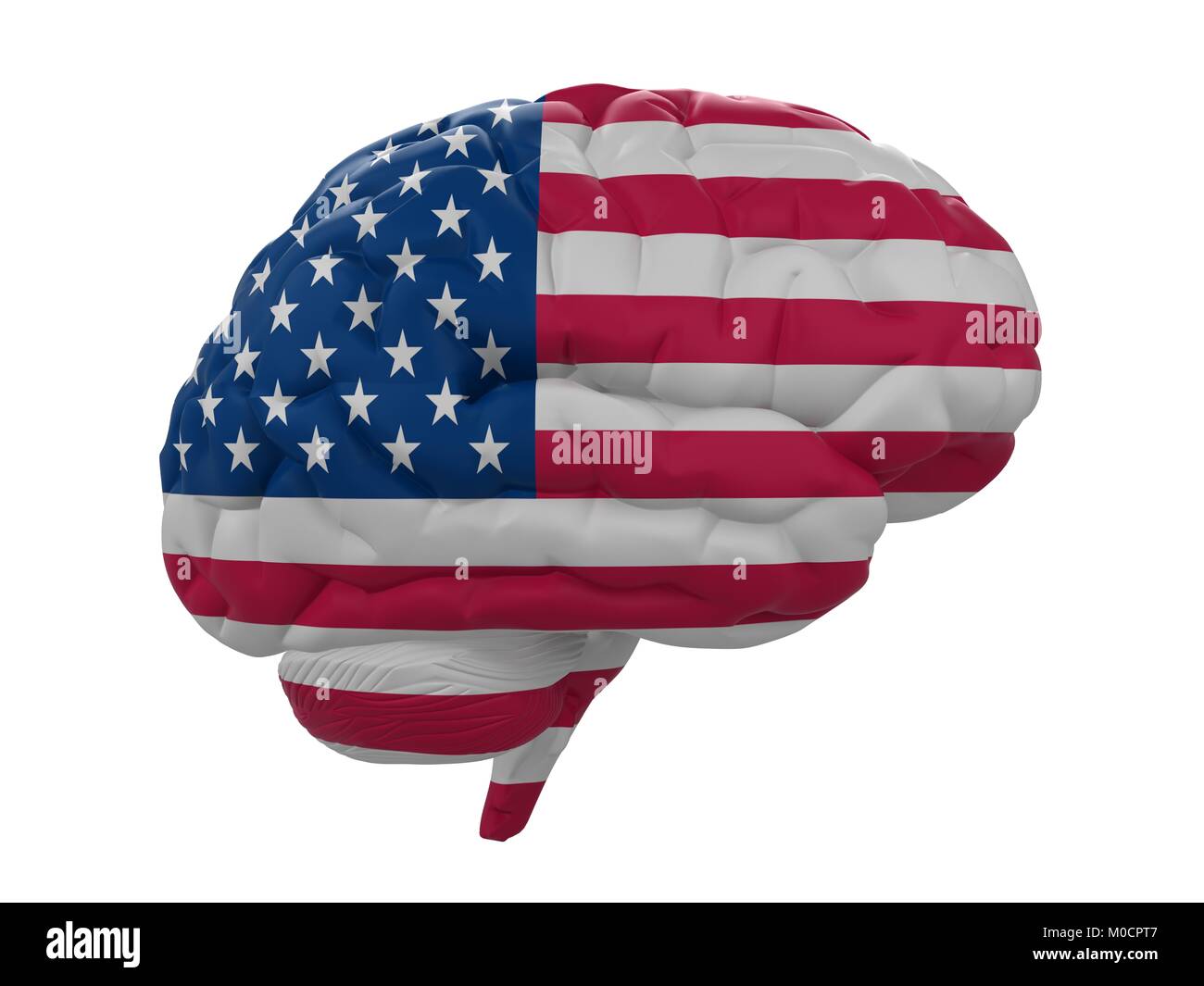 human brain is colored flag of USA. 3d rendering Stock Photo - Alamy